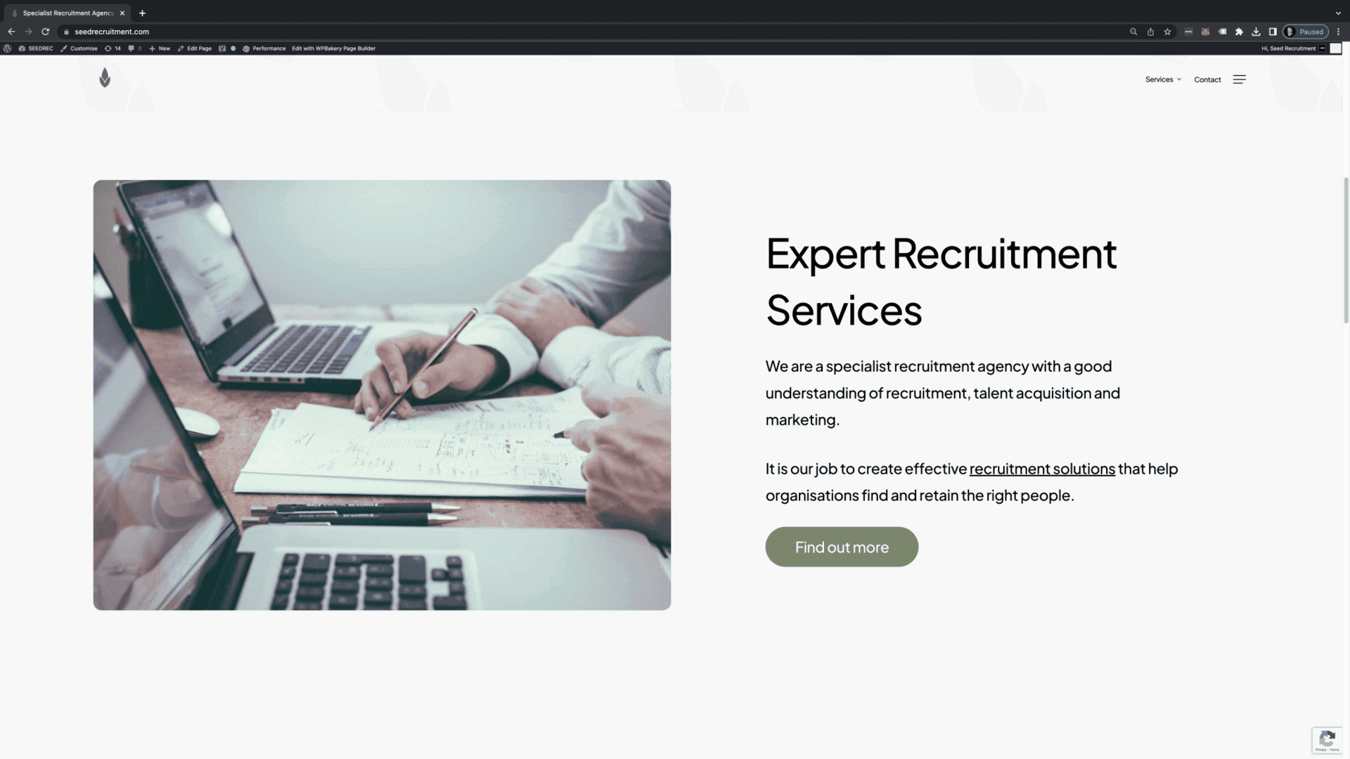 SEED Recruitment - Bird Marketing